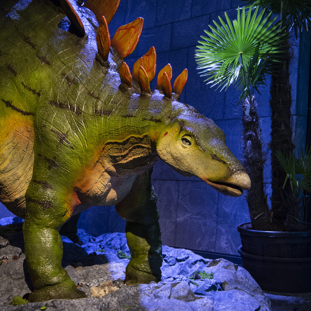 Spesialtilbud til våre årskortholdere | Norsk Oljemuseum